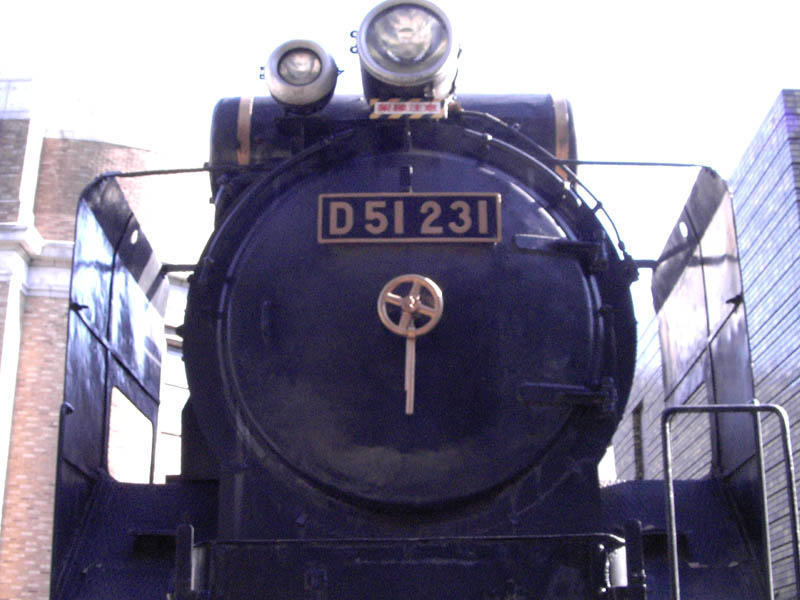 【保存機関車探訪・その9】D51－231: ドラ猫日記