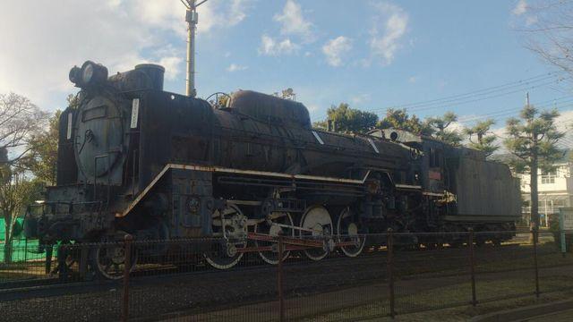 【SL保存機探索】D51－684（再訪）: ドラ猫日記