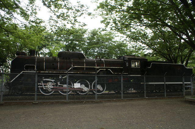 【SL保存機探訪】D51－140: ドラ猫日記